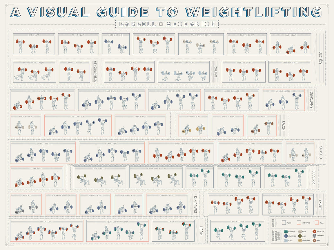 Pop Chart Lab — Northlight Homestore