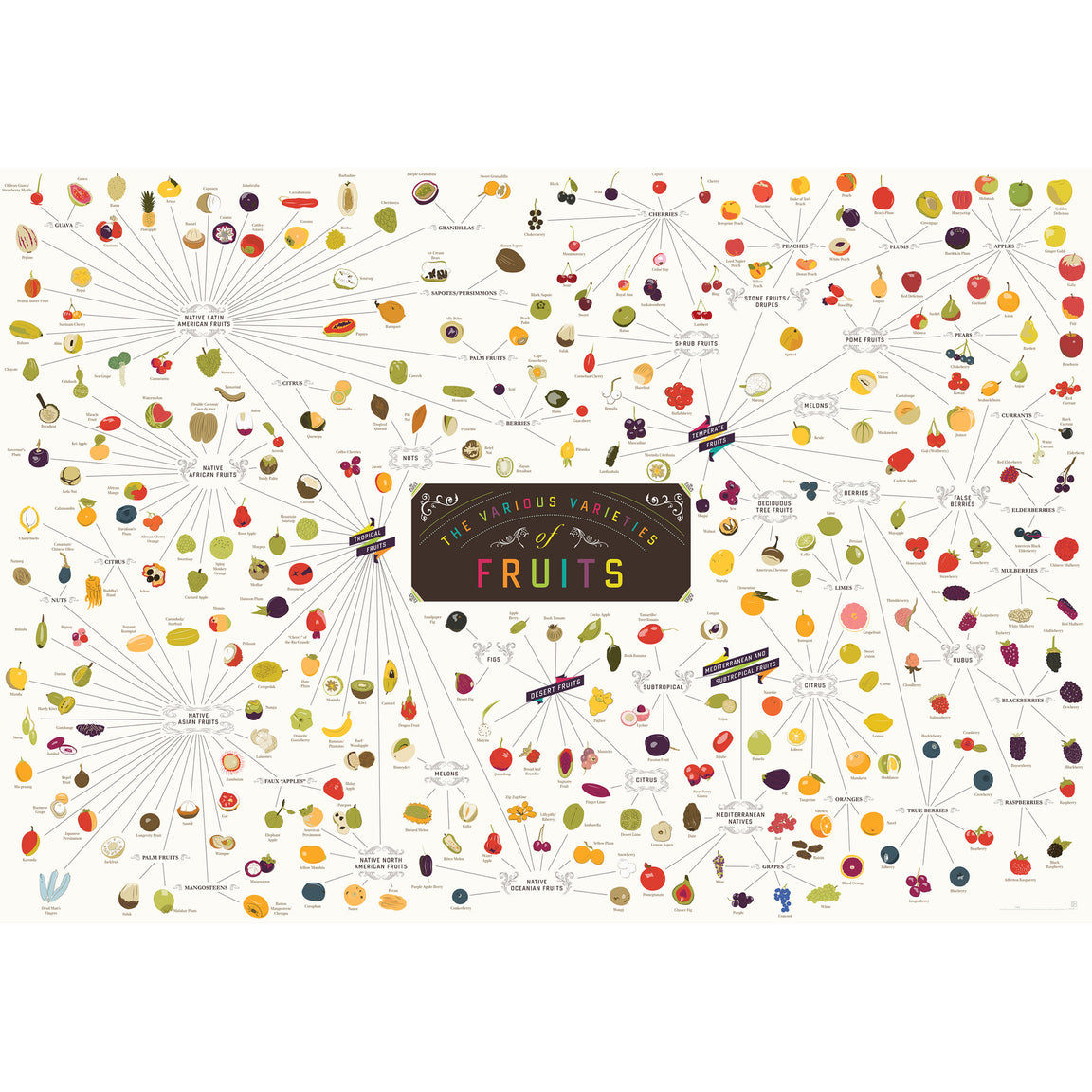 Pop Chart Lab — Northlight Homestore