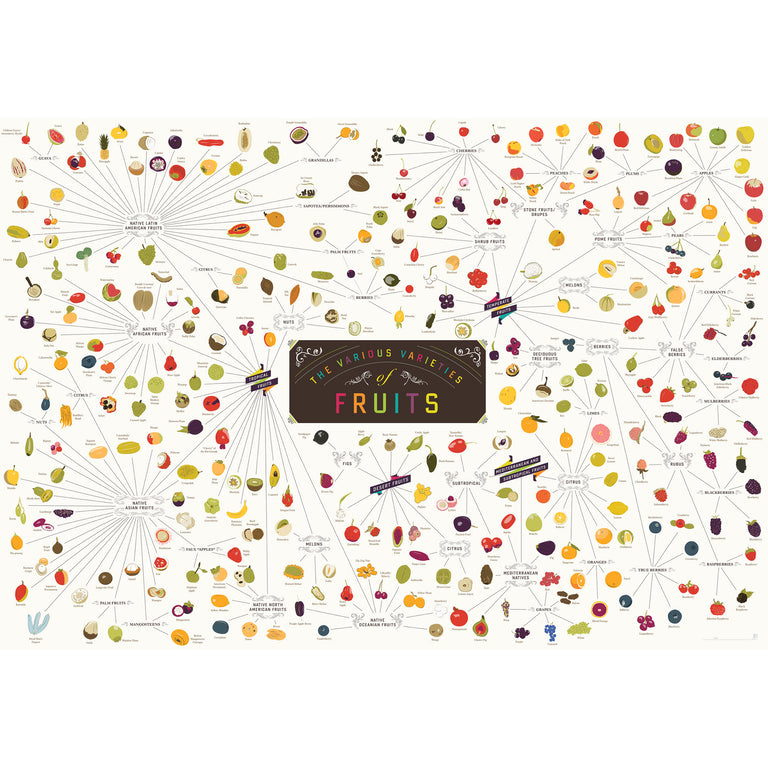 Pop Chart Lab — Northlight Homestore